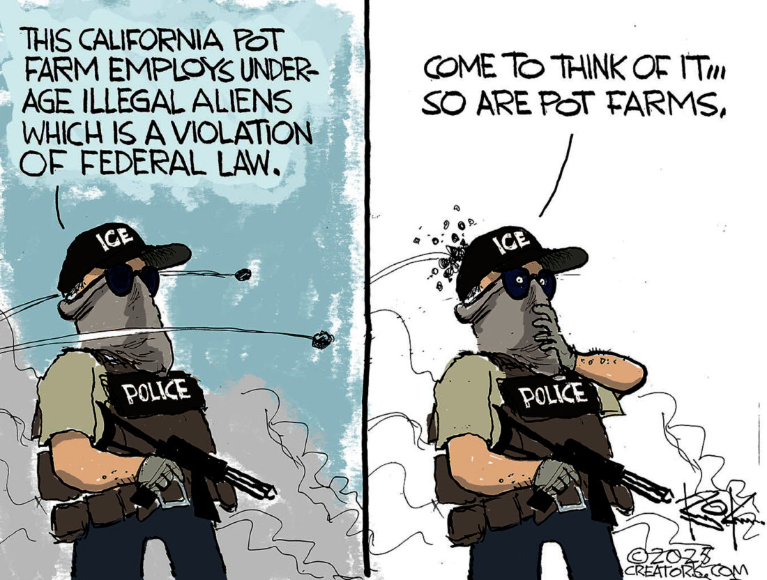 Cartoon Commentary | News, Sports, Jobs - The Mining Gazette